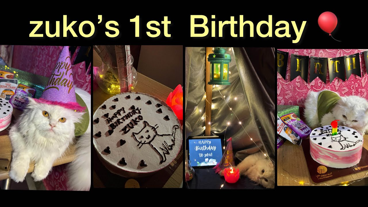 Happy Birthday ZUKO 💕 - YouTube