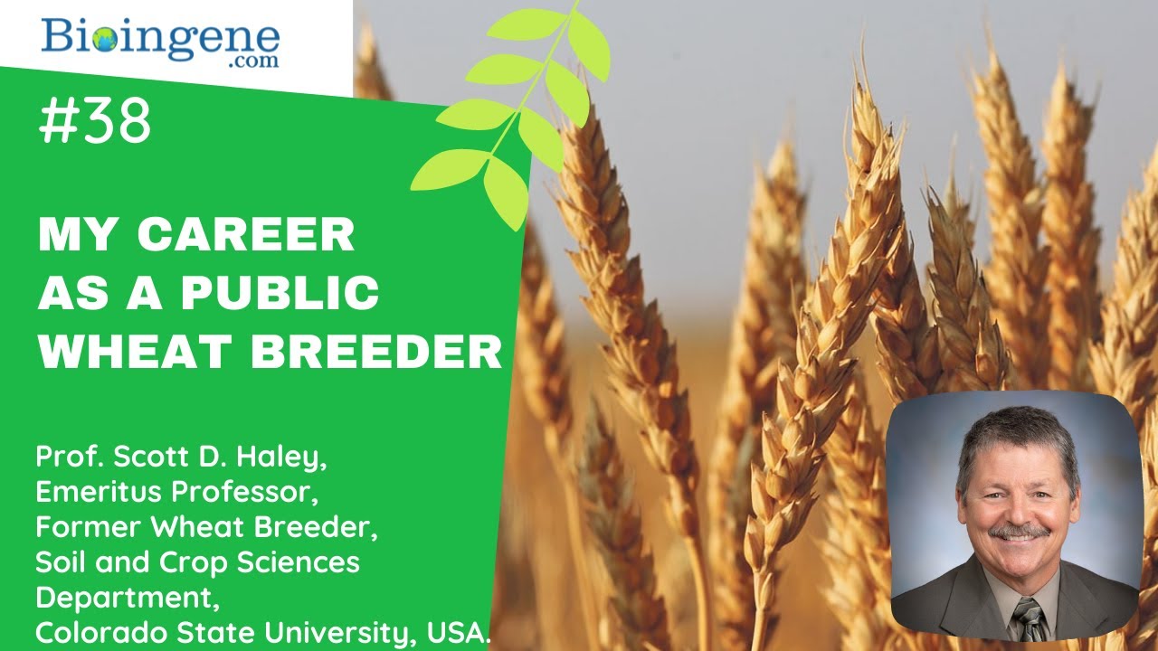 My Career as a Public Wheat Breeder - "The Only Constant in Life is ...