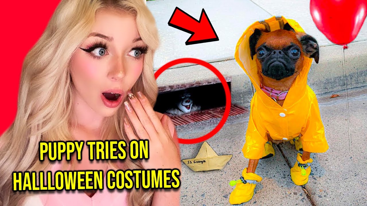 I Bought my Puppy the CRAZIEST Halloween Costumes!! (*SHE TRIES THEM ON ...