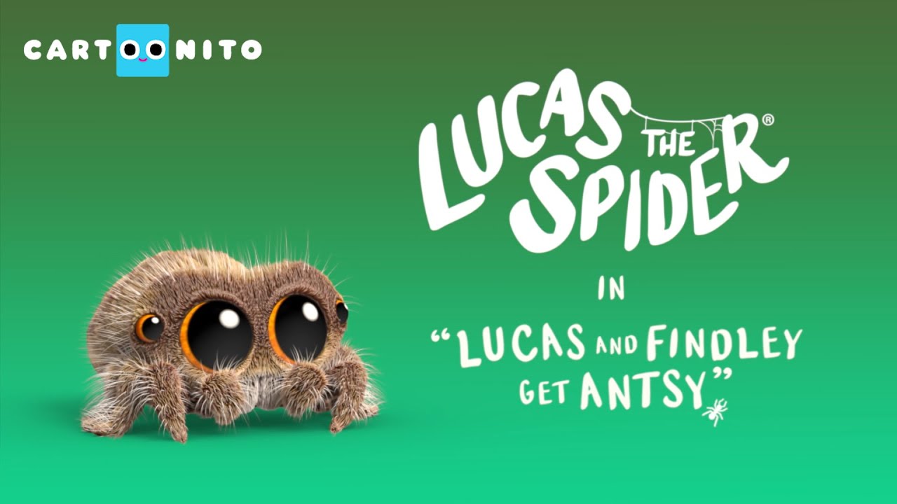 Lucas the Spider - Lucas and Findley Get Antsy - Short - YouTube