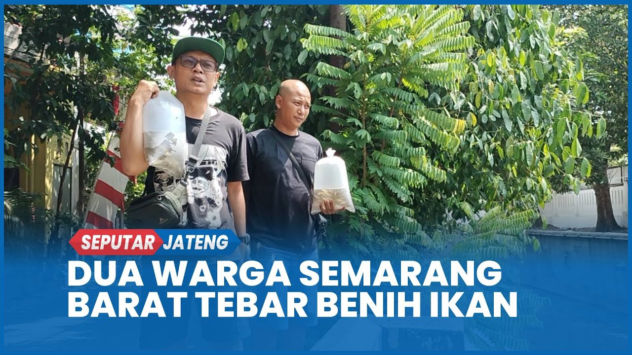Sudah Ratusan Titik Ditebari Ikan, Cerita Sandy Petiz dan Ali Cuplis ...