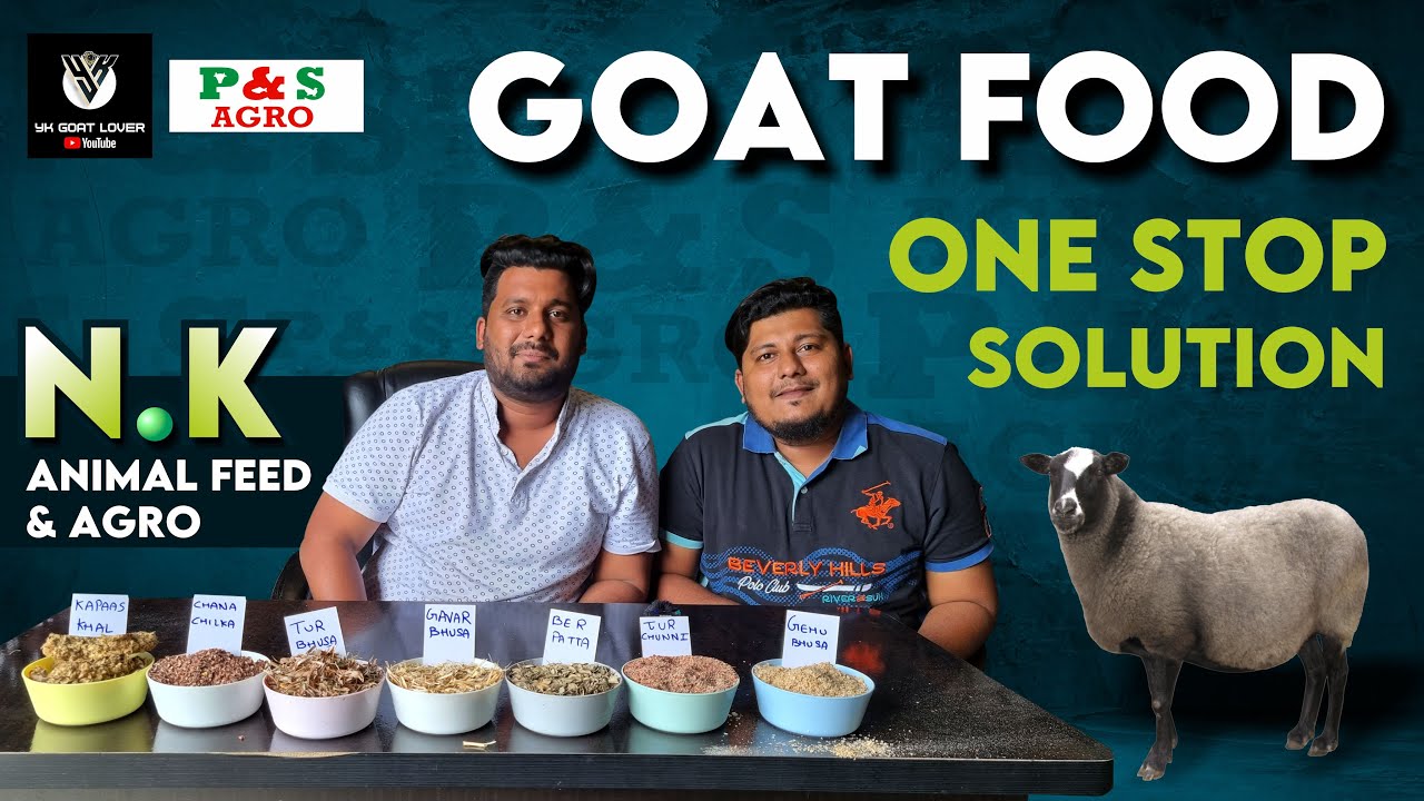Goat Food I Bakro ka Khana aur baki chize at N.K Animal Feeds and Agro ...