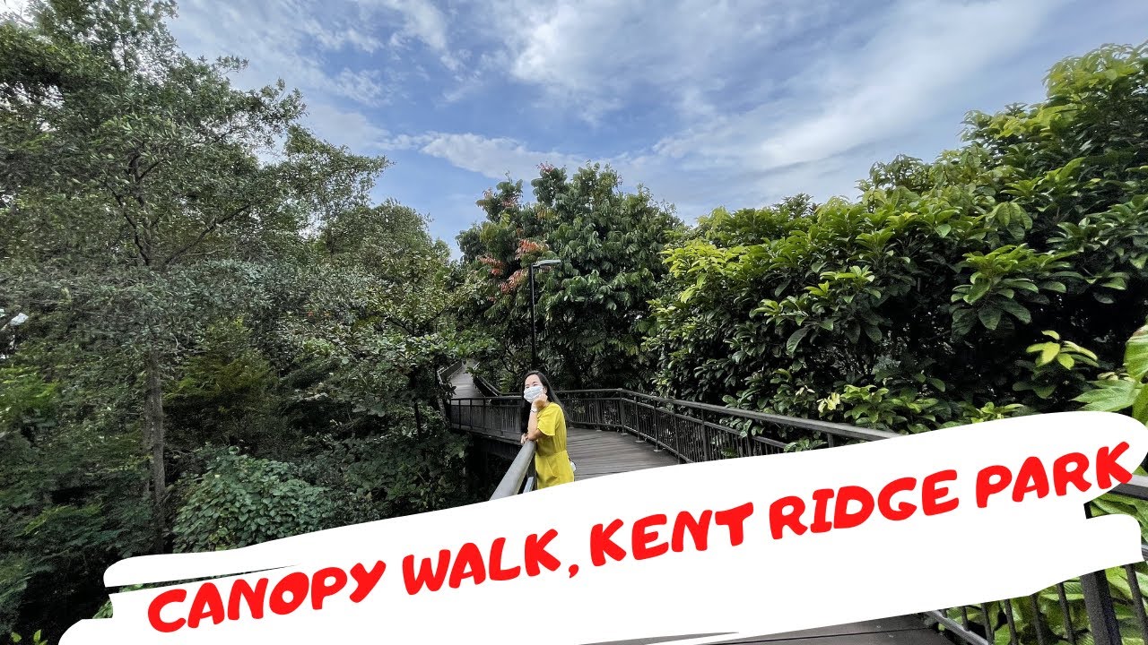 CANOPY WALK AT KENT RIDGE PARK, SINGAPORE | During Pandemic 2021 - YouTube