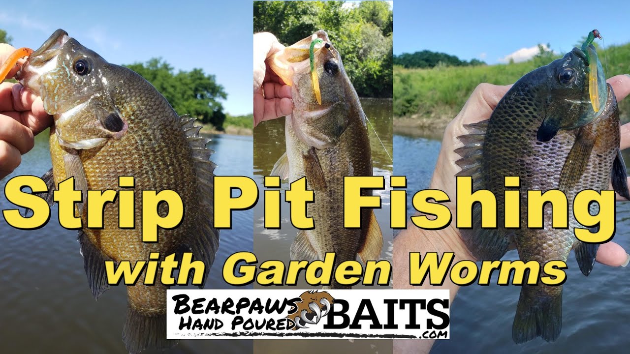 Strip Pit Fishing SW MO (PART 1) - Bass, Green Sunfish and Bluegill ...