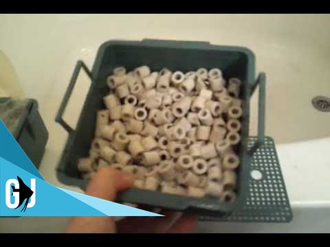 #84: How I Configure my Rena XP3 Filters for Turtles - Fan Friday - YouTube