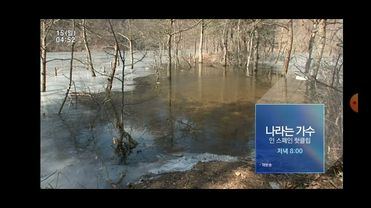 20241215 KBS1 방송순서영상(음악만 수정) - YouTube