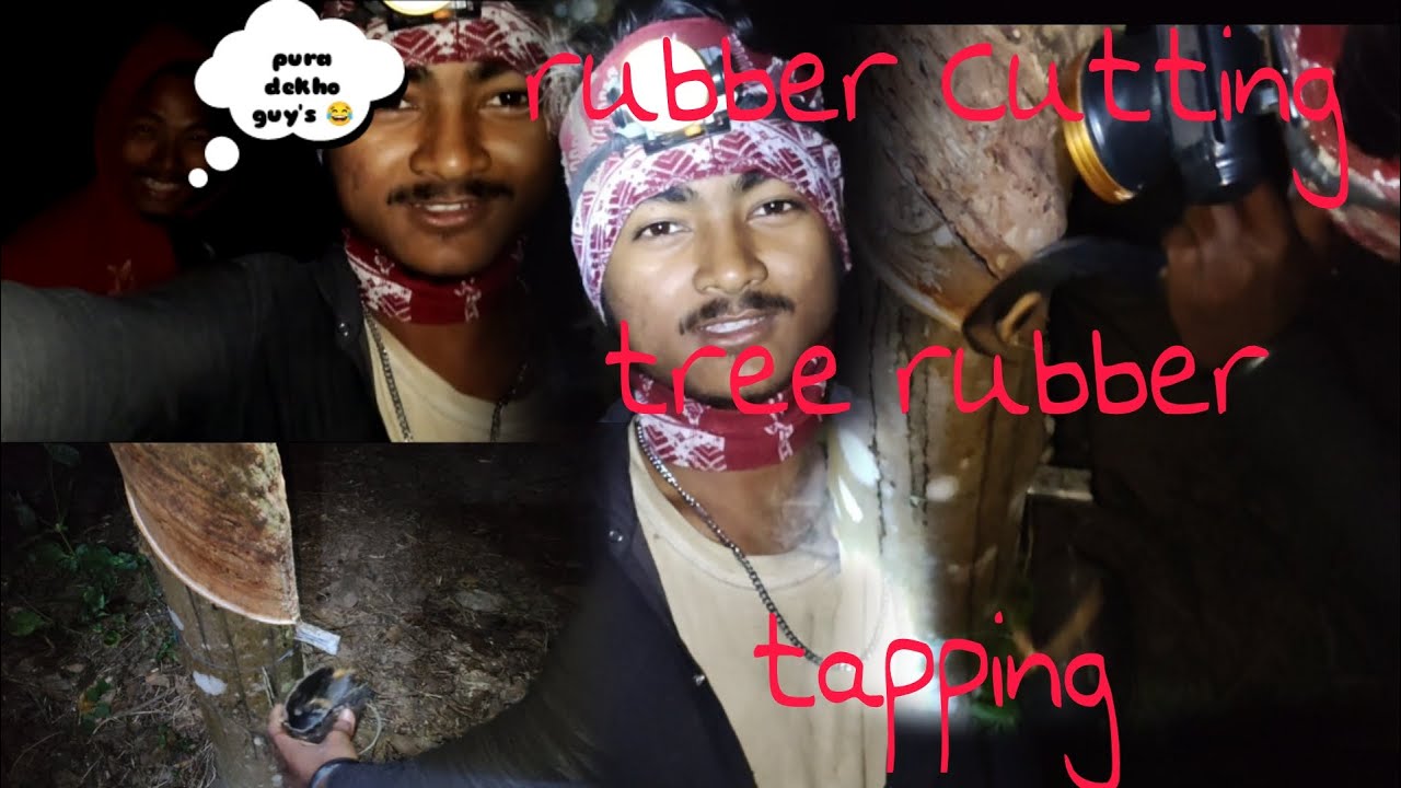 Rubber Cutting tree rubber tapping #vlog @shiv b rajesh - YouTube