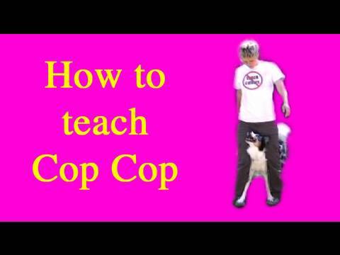 Cop Cop - Your feet on mine