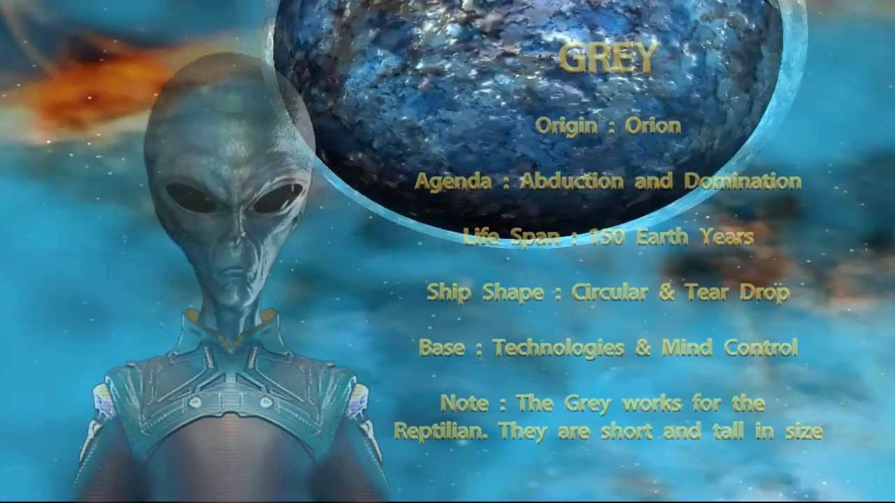 THE STAR RACES - GREY - YouTube