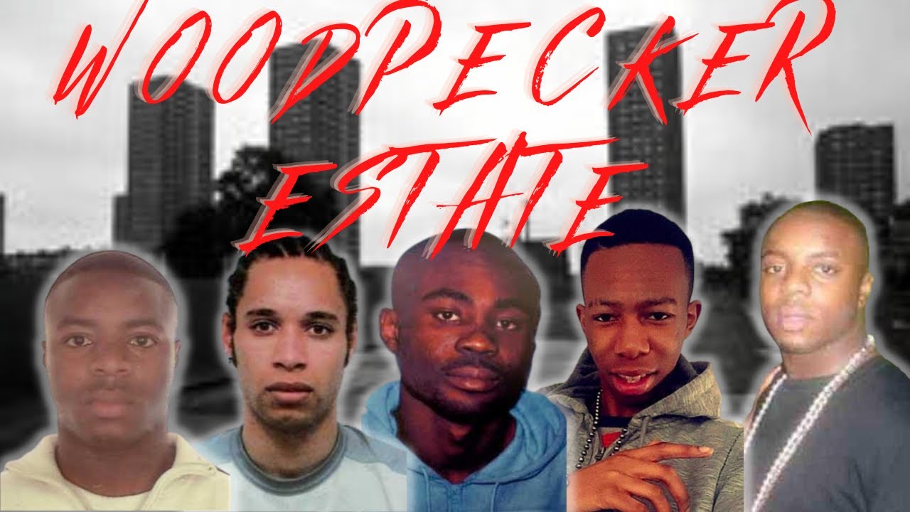 THE NOTORIOUS WOODPECKER ESTATE MURDERS NEW CROSS - YouTube