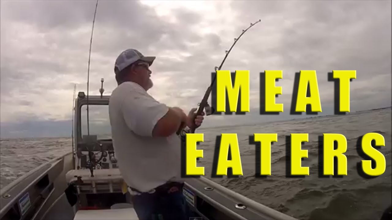 SHARK FISHING - MEAT EATERS! - YouTube