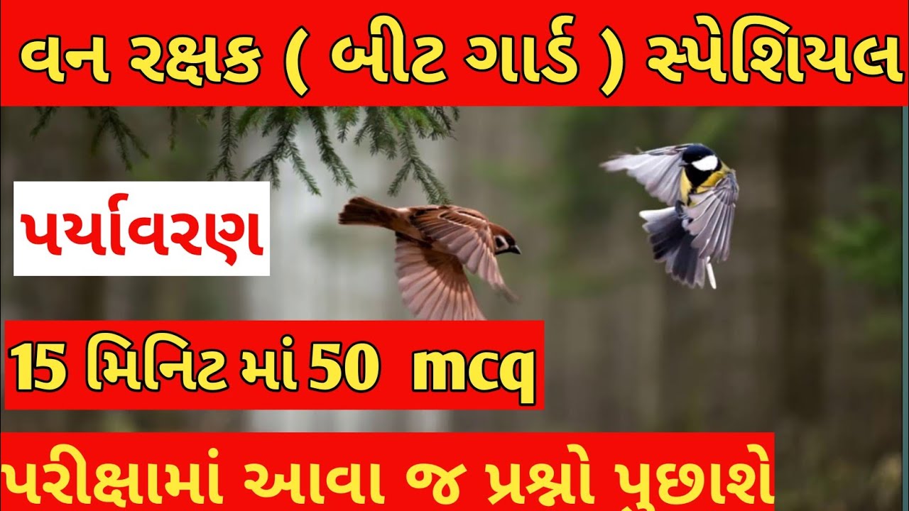 forest guard syllabus 2023 📚 || vanrakshak syllabus (ફોરેસ્ટ ગાર્ડ ...