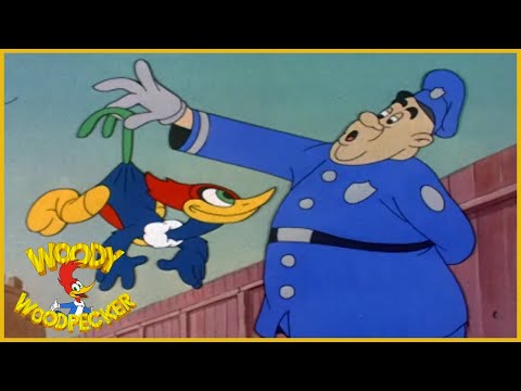 Woody Woodpecker | The Screwball | Full Episodes