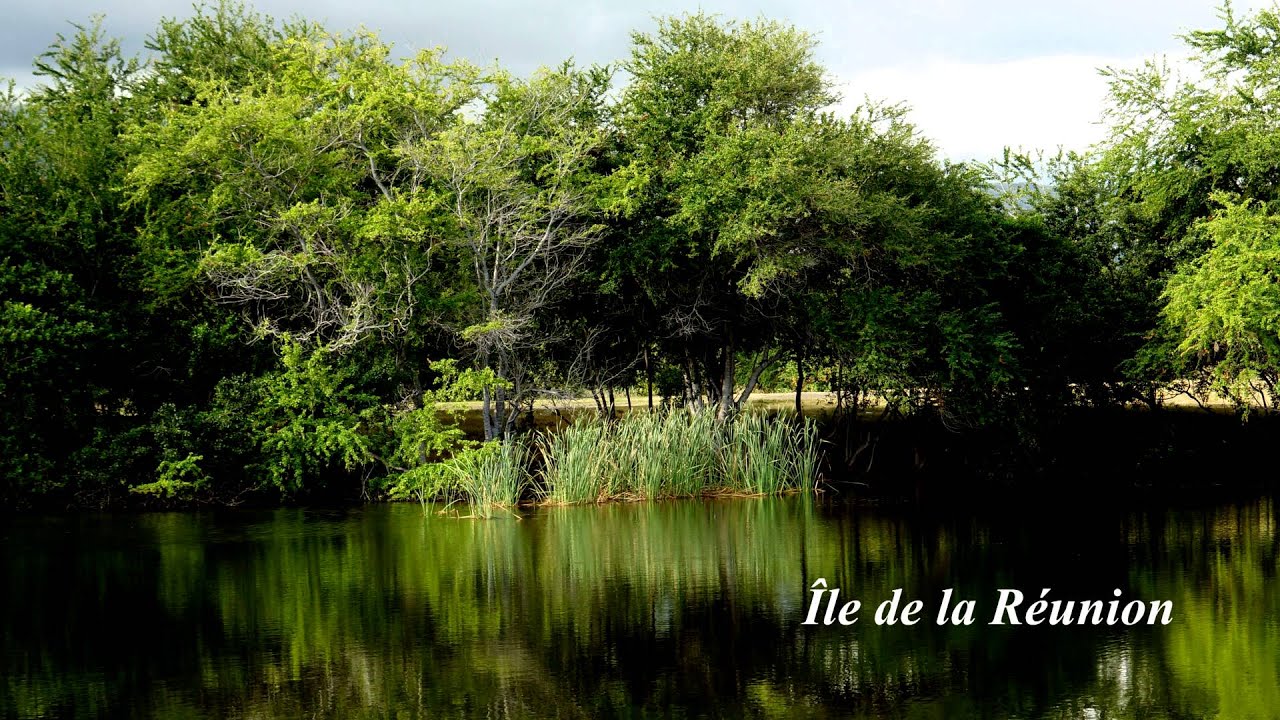 Île de la Reunion - Saint Louis - YouTube