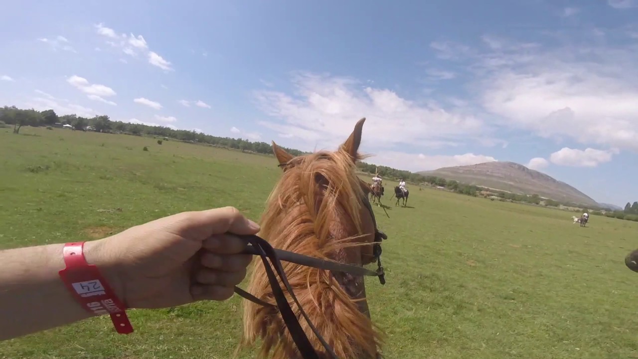 La saca completa 2016 - YouTube