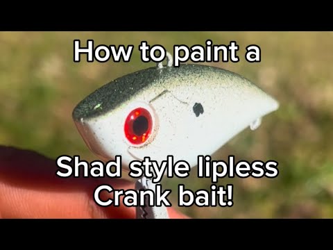 How to paint a SHAD pattern LIPLESS CRANKBAIT!!!! (ONLY USING SPRAY ...