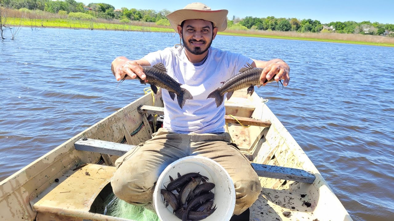 Catching Giant Hassa In My Backyard Lake (Armored Catfish) - YouTube