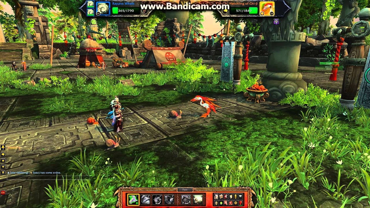 Wow - pet battle - The celestial tournament - Chi-Chi, Hatchling of Chi ...