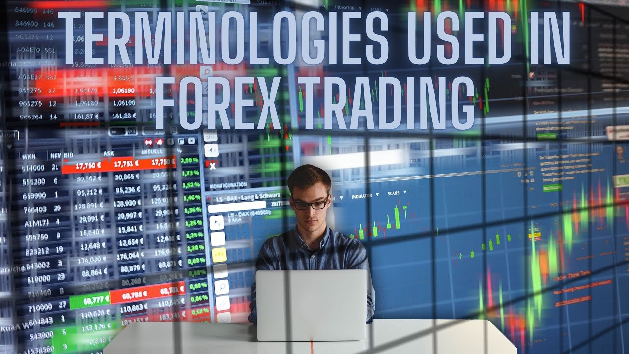 TERMINOLOGIES USED IN FOREX TRADING #bitcoin #forex - YouTube