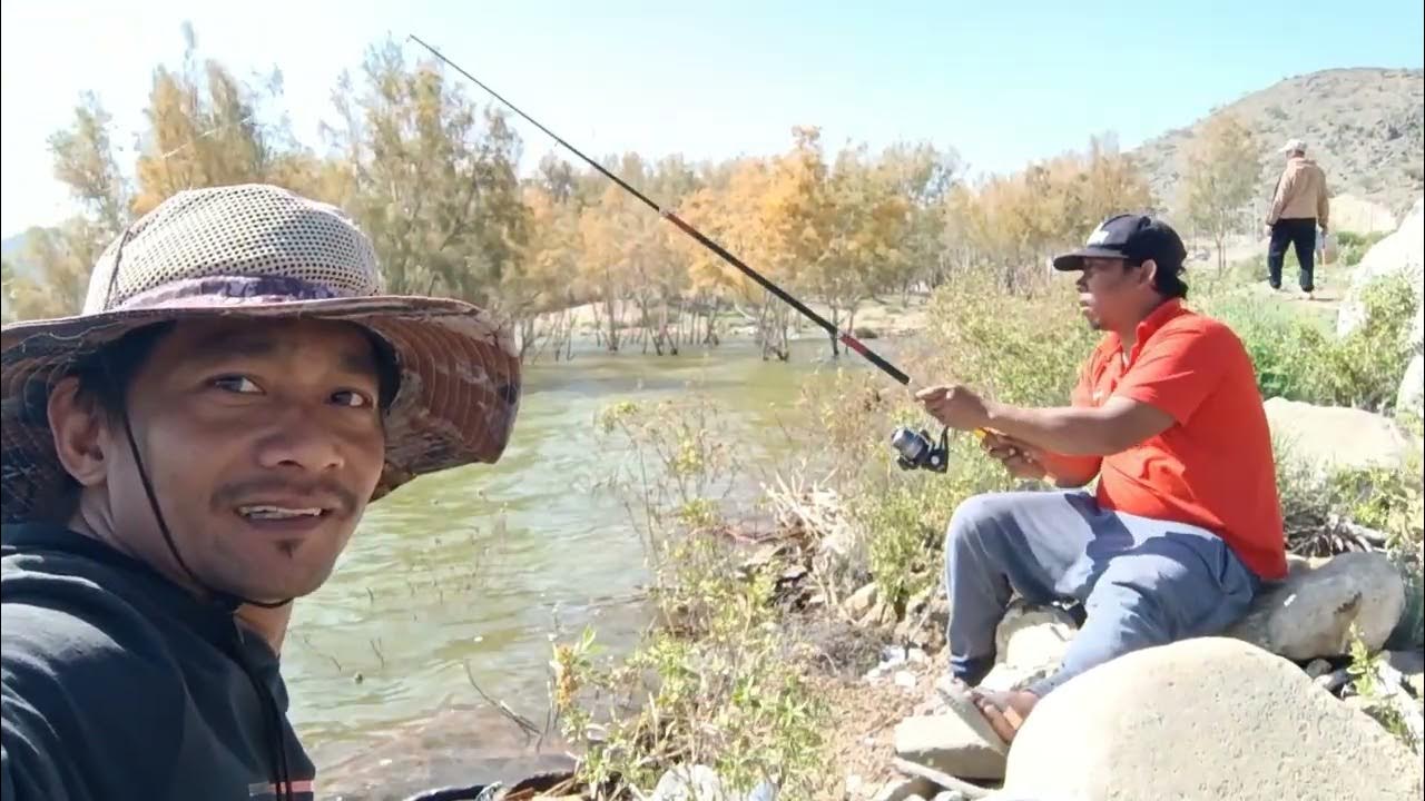 NASA GILID LANG ANG MGA TILAPIA! - YouTube NASA GILID LANG ANG MGA TILAPIA! - YouTube