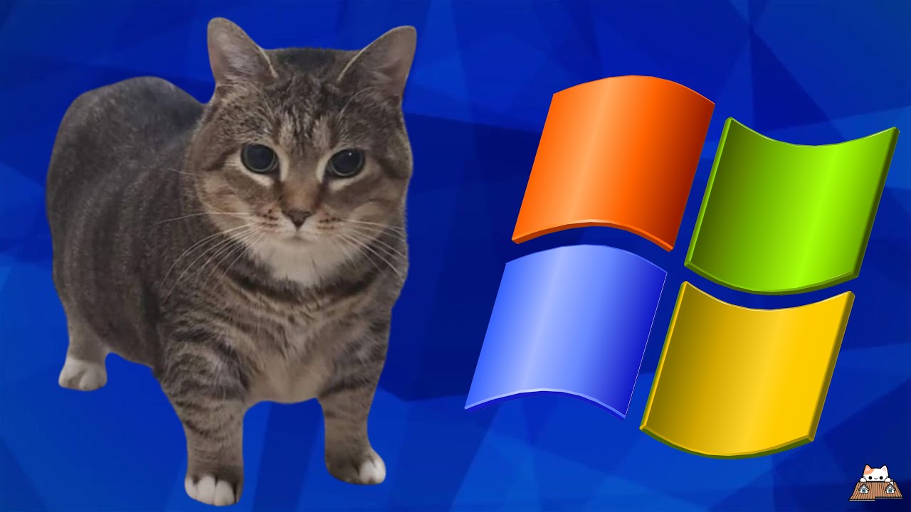 Microsoft Windows XP Shutdown Sound By OIIAOIIA CAT - YouTube
