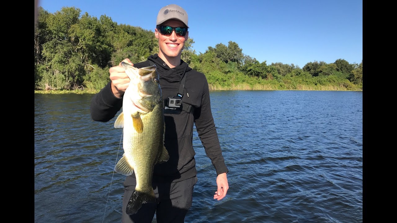 Florida Shiner Fishing for MONSTER Bass - YouTube