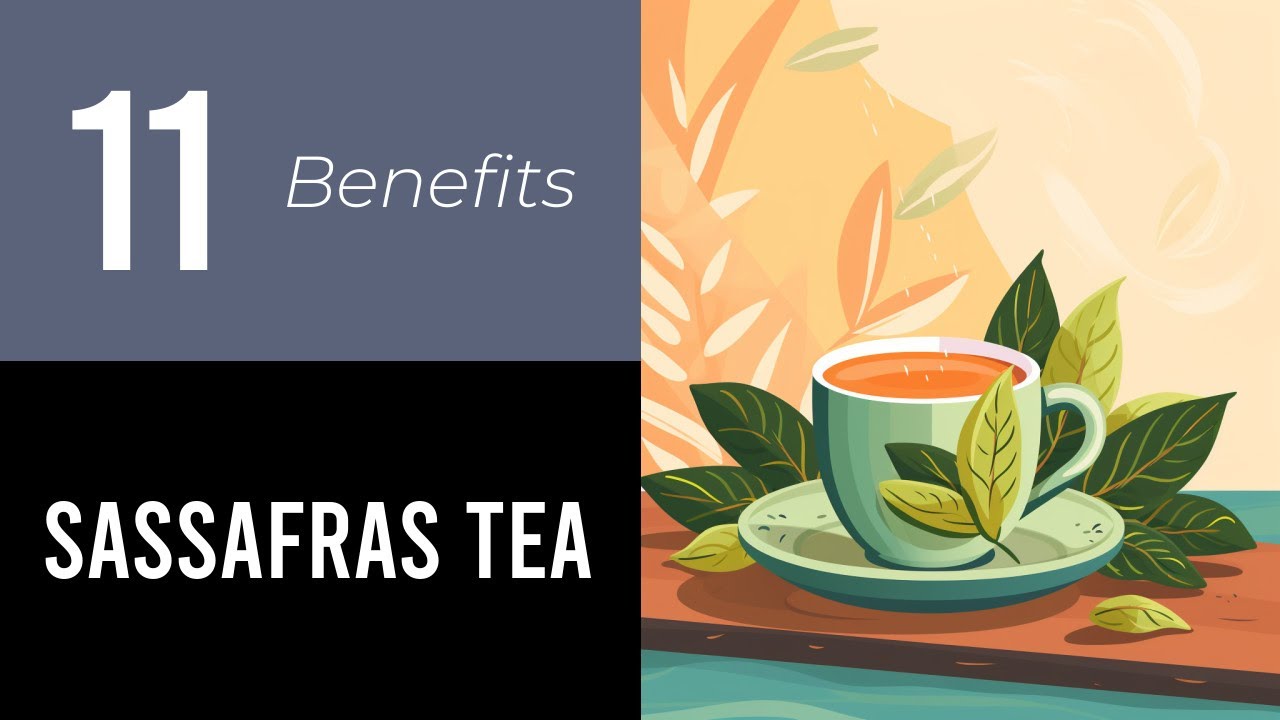 11 Wonders of Sassafras Tea - YouTube