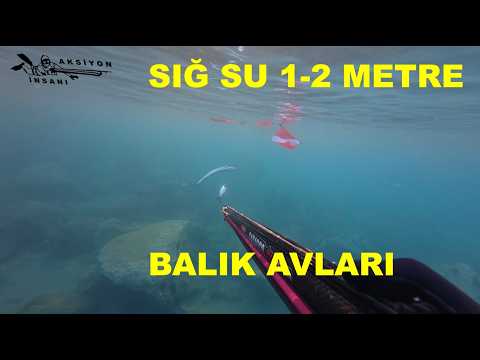 1-2 Metre Sığ Suda Zıpkınla Balık Avı!