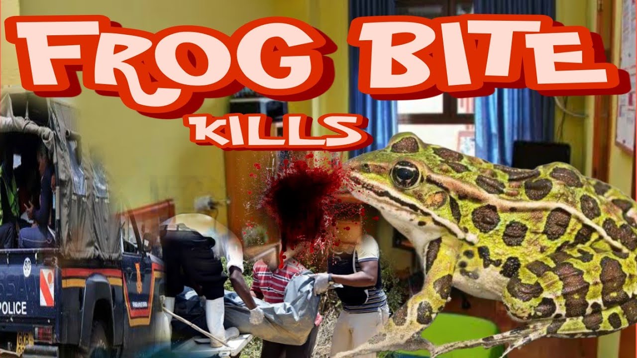 How A Kenyan lady succumbs to infection caused by a frog bite - YouTube