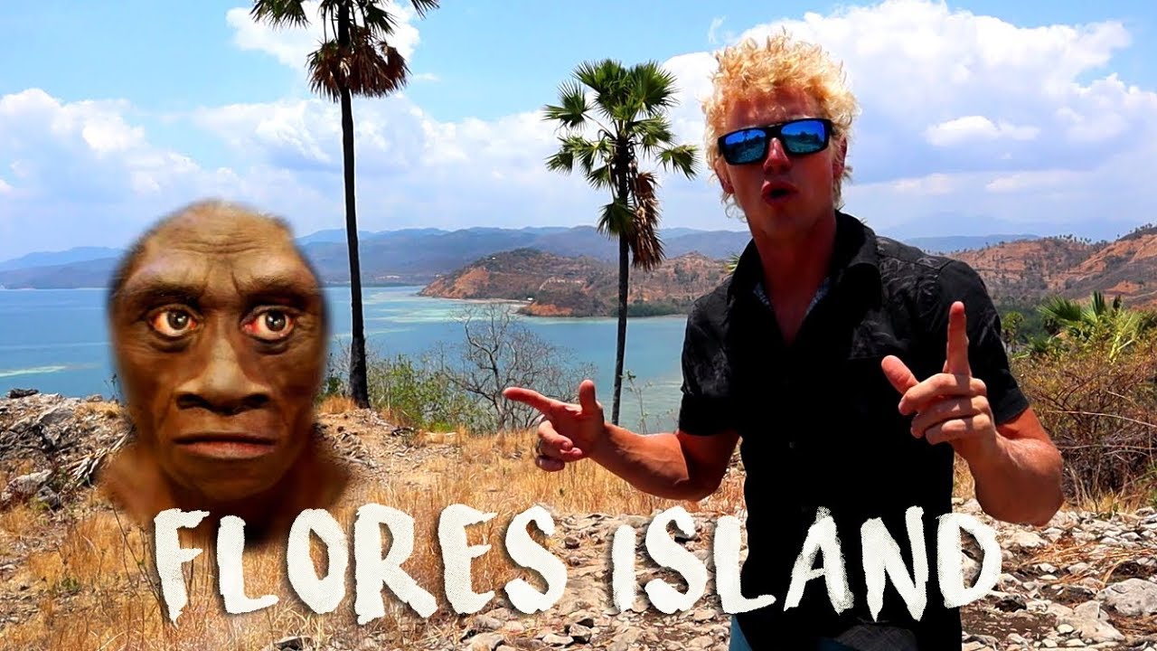 FLORES ISLAND AND HOMO FLORESIENSIS - YouTube