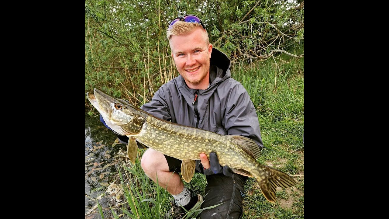 Fishing for pike at night - YouTube