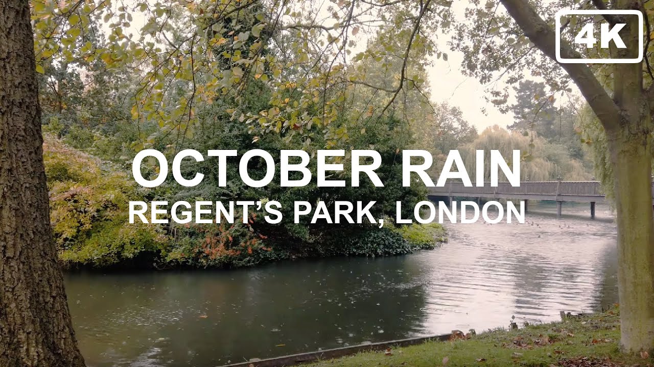 October rain in Regent's Park, London. [1 Hour Ambience in 4K] - YouTube