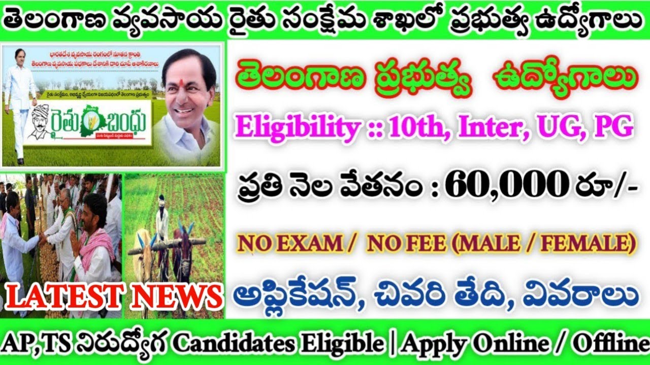Indian Institute Of Rice Research Hyderabad Recruitment 2021| ICAR-IIRR ...