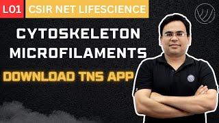 Cell Cytoskeleton | Microfilament | Actin Protein Assembly | TNS CONCEPTS | CSIR NET LIFE SCIENCE