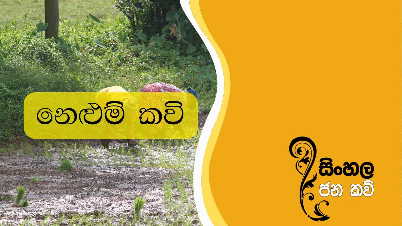 සිංහල ජන කවි - නෙළුම් කවි (Sinhala Jana Kavi - Nelum Kavi) - YouTube