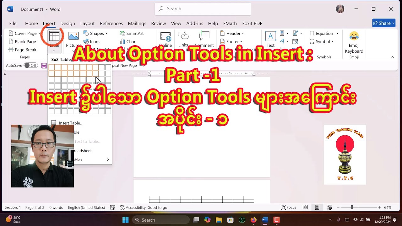 About Option Tools in Insert : Part - 1 - YouTube