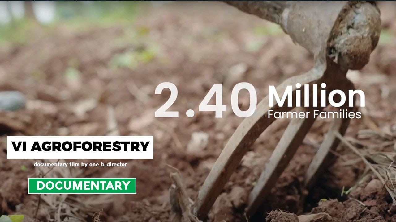 Documentary Vi Agroforestry Documentary Film 2022 - YouTube
