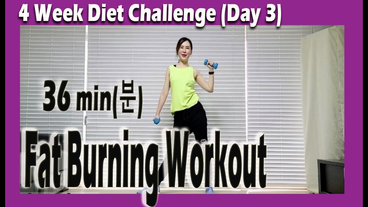 [4 Week Diet Challenge] Day 3 | 36 minute Circuit Training Diet Workout ...