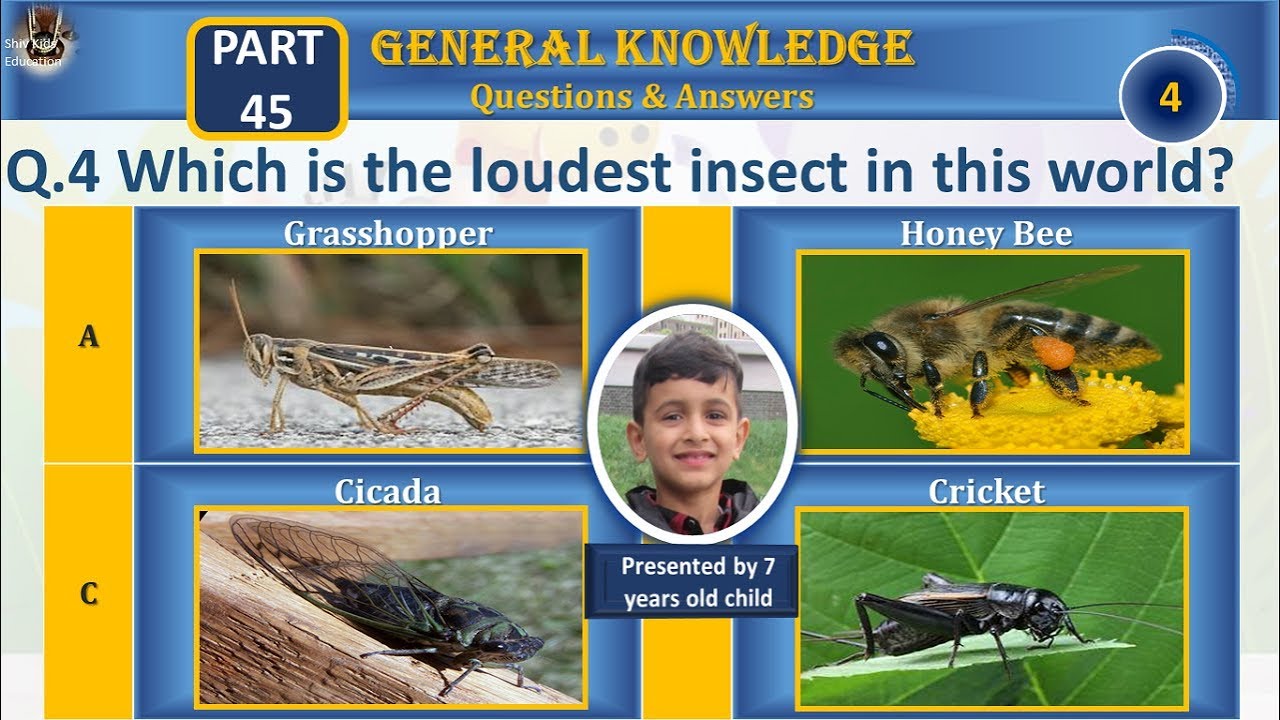 General Knowledge quiz for kids|Gk for children|Children GK|Part-45 ...