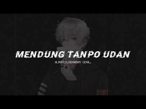 Mendung Tanpo Udan (slowed)_ndarboy genk.