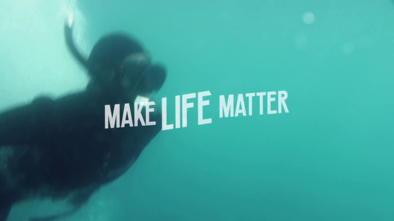 Make Life Matter - Wherever You Are in Life - YouTube