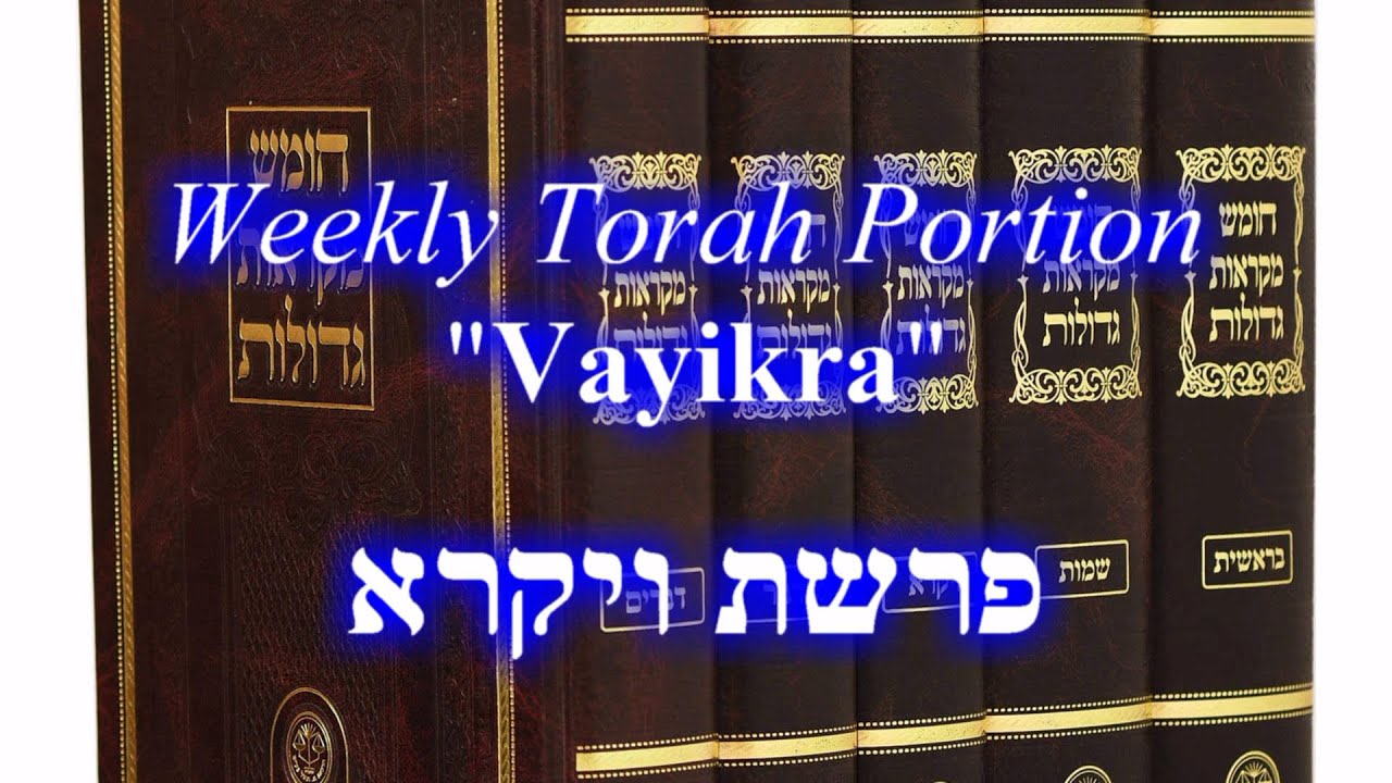 Vayikra - Weekly Torah Portion - YouTube