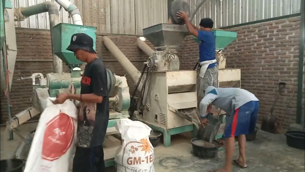 proses penggilingan padi. - YouTube