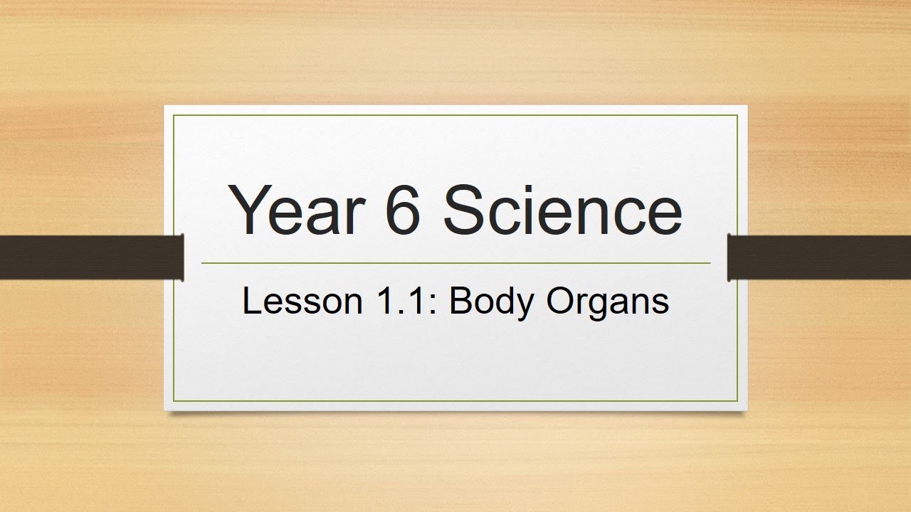 Year 6_Lesson 1.1_Body Organs - YouTube