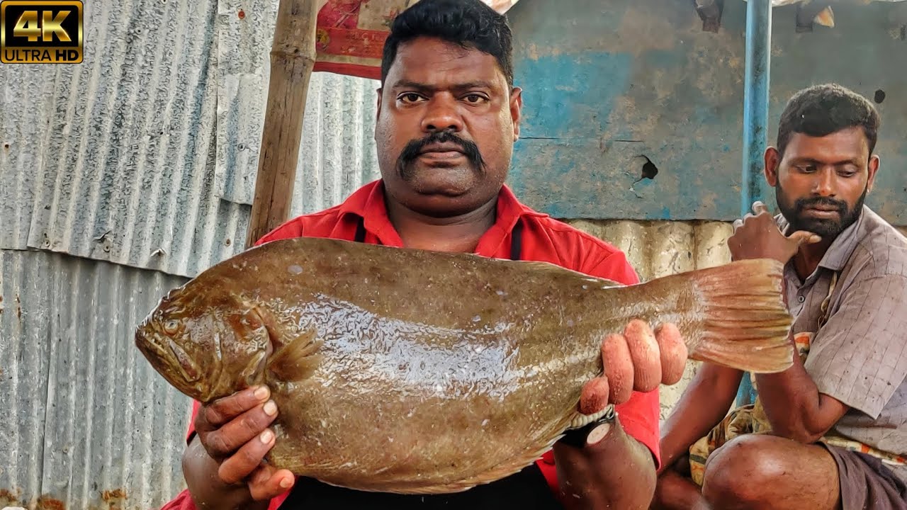 KASIMEDU 🔥 SPEED SELVAM | BIG SIZE NAKKU FISH CUTTING VIDEO | 4K VIDEO ...
