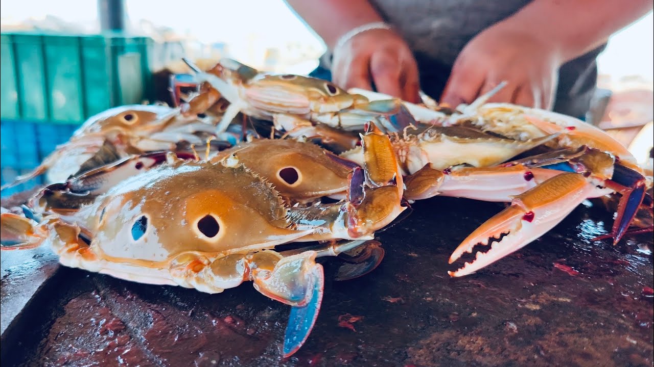 Removing Crab Shells! 🤩 #fishcutting #fishcuttingexpert # ...