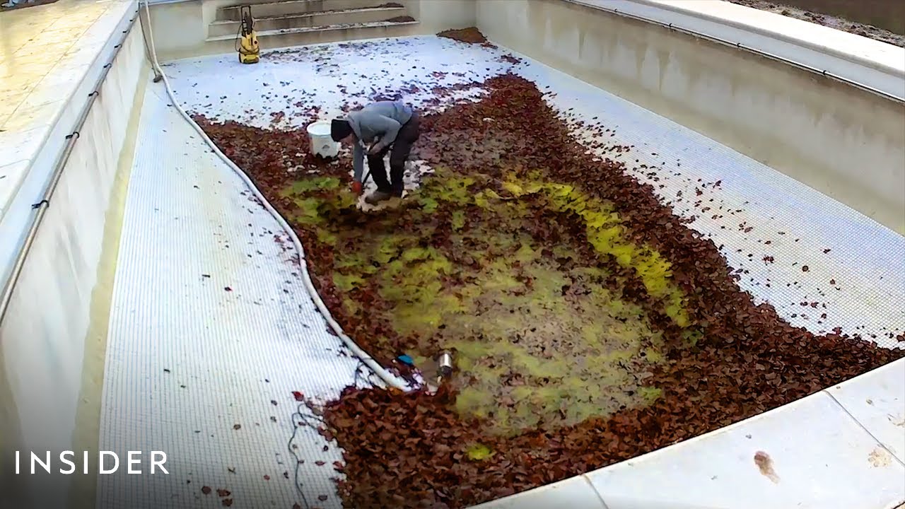How Pools Are Professionally Deep Cleaned | Deep Cleaned - YouTube