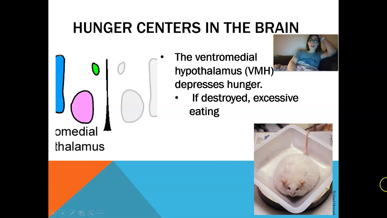 General Psychology: Food and Eating Behavior - YouTube