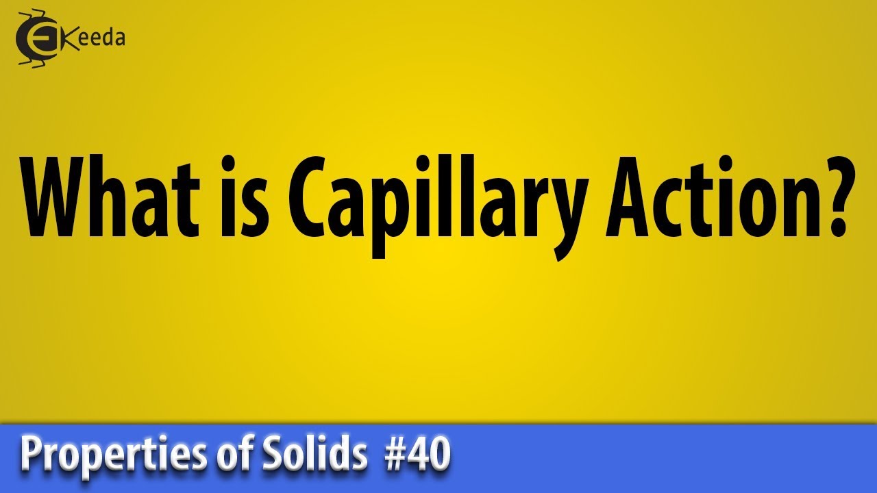 What is Capillary Action - Properties of Liquids - Basic Physics - YouTube