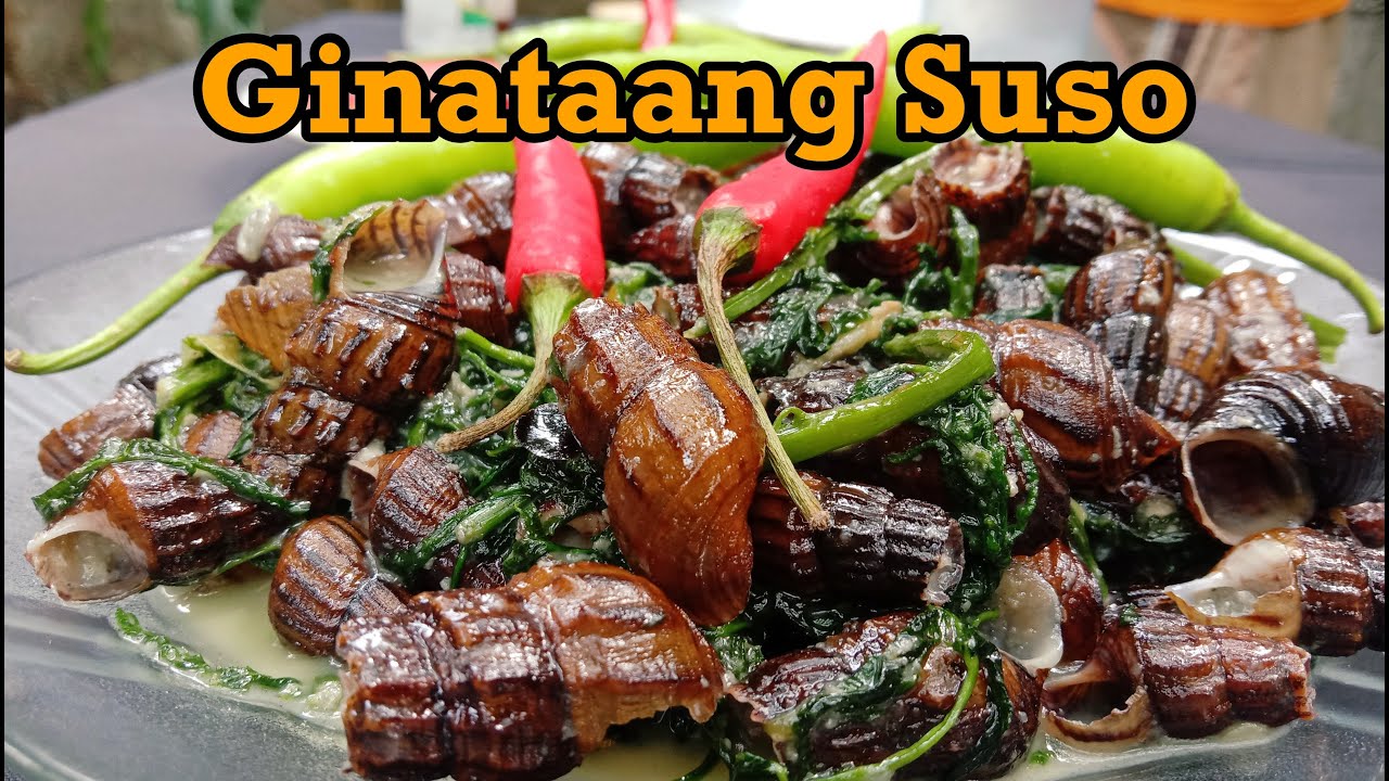 Snail Recipe / Ginataang Suso / with Fern Salad / How to Cook - YouTube
